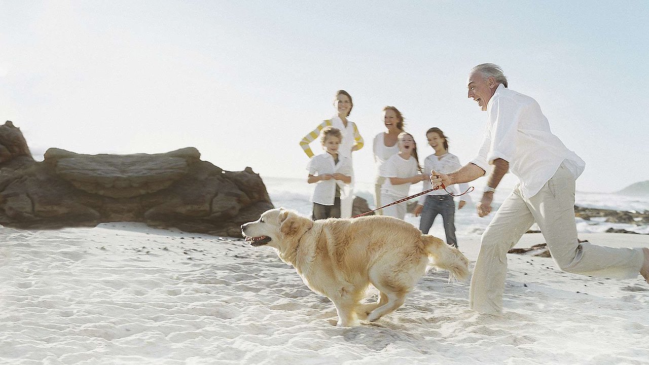 Here you will find first-class MERA dog food - mera - The Petfood Family