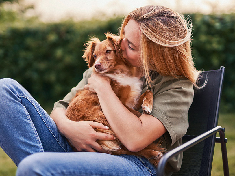 Kleine Hunderassen im Überblick | MERA Petfood - mera - The Petfood Family